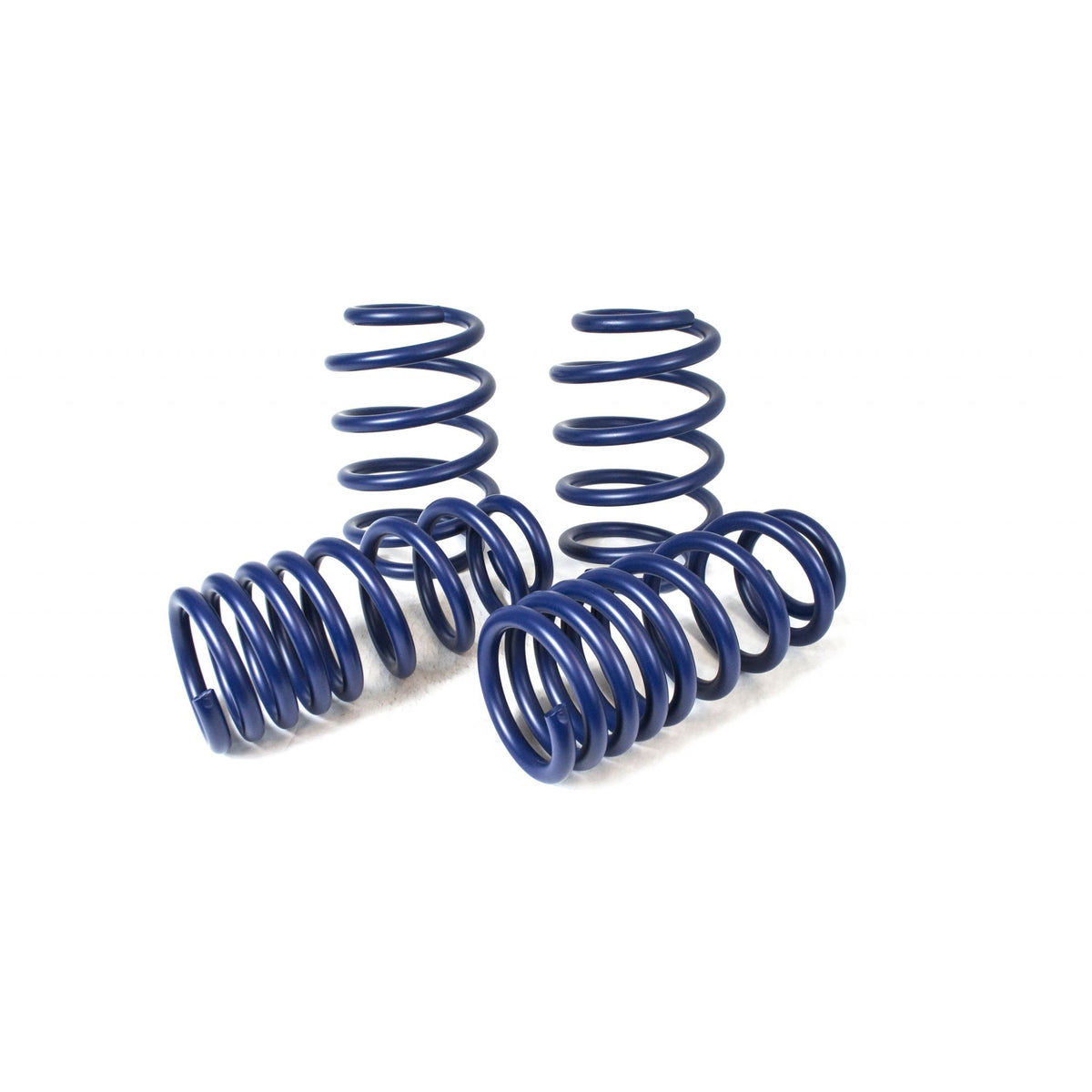 Livernois 2010-2019 Ford Taurus SHO/Lincoln MKS HRS Performance Spring ...
